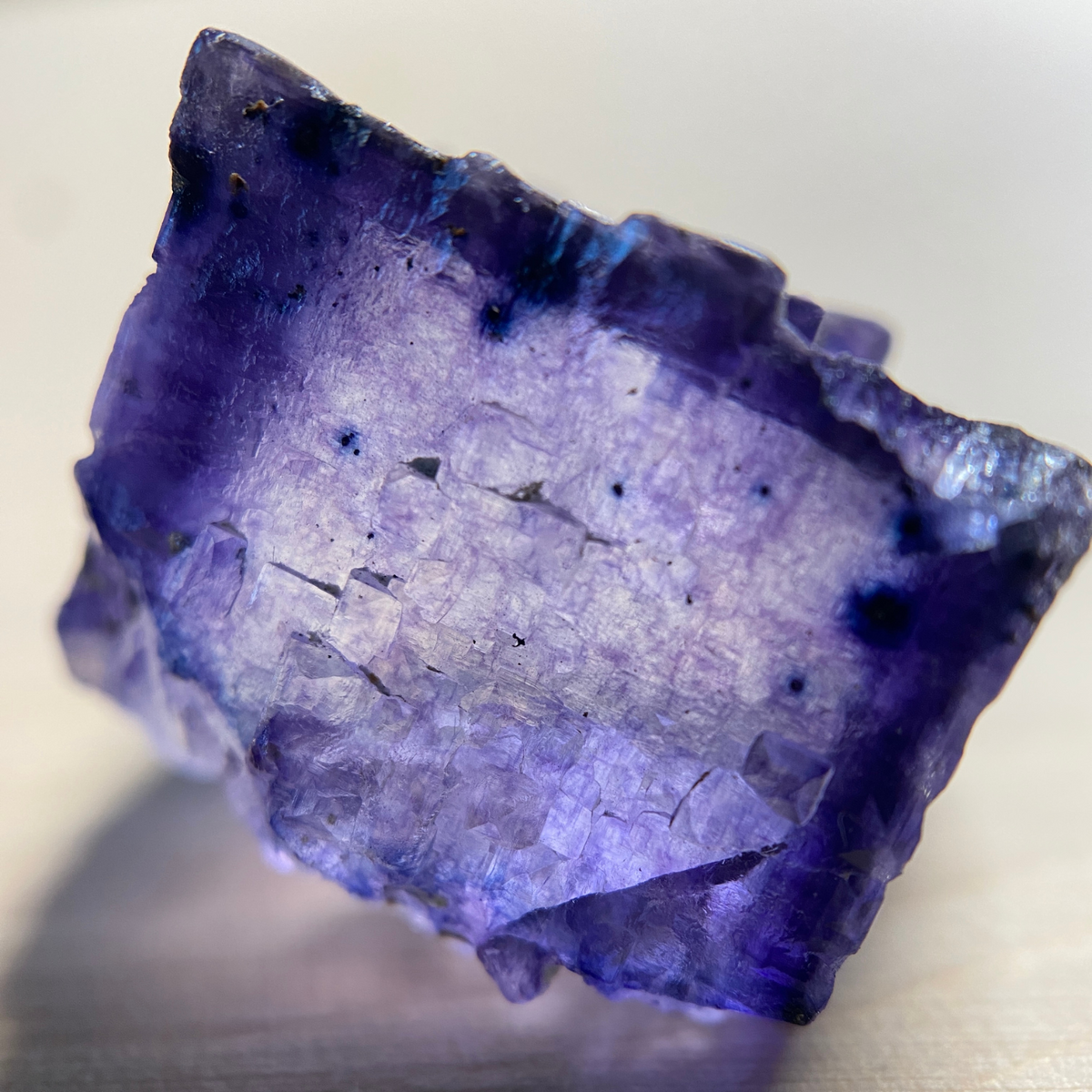 From Depths to Display Cases: The Journey of Elmwood Mine's Prized Spe ...